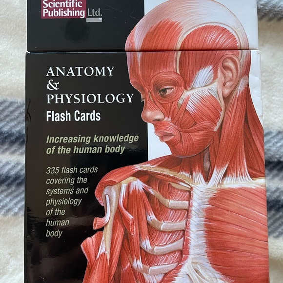Anatomy & Physiology | Other | Anatomy Physiology Flash Cards Red ...